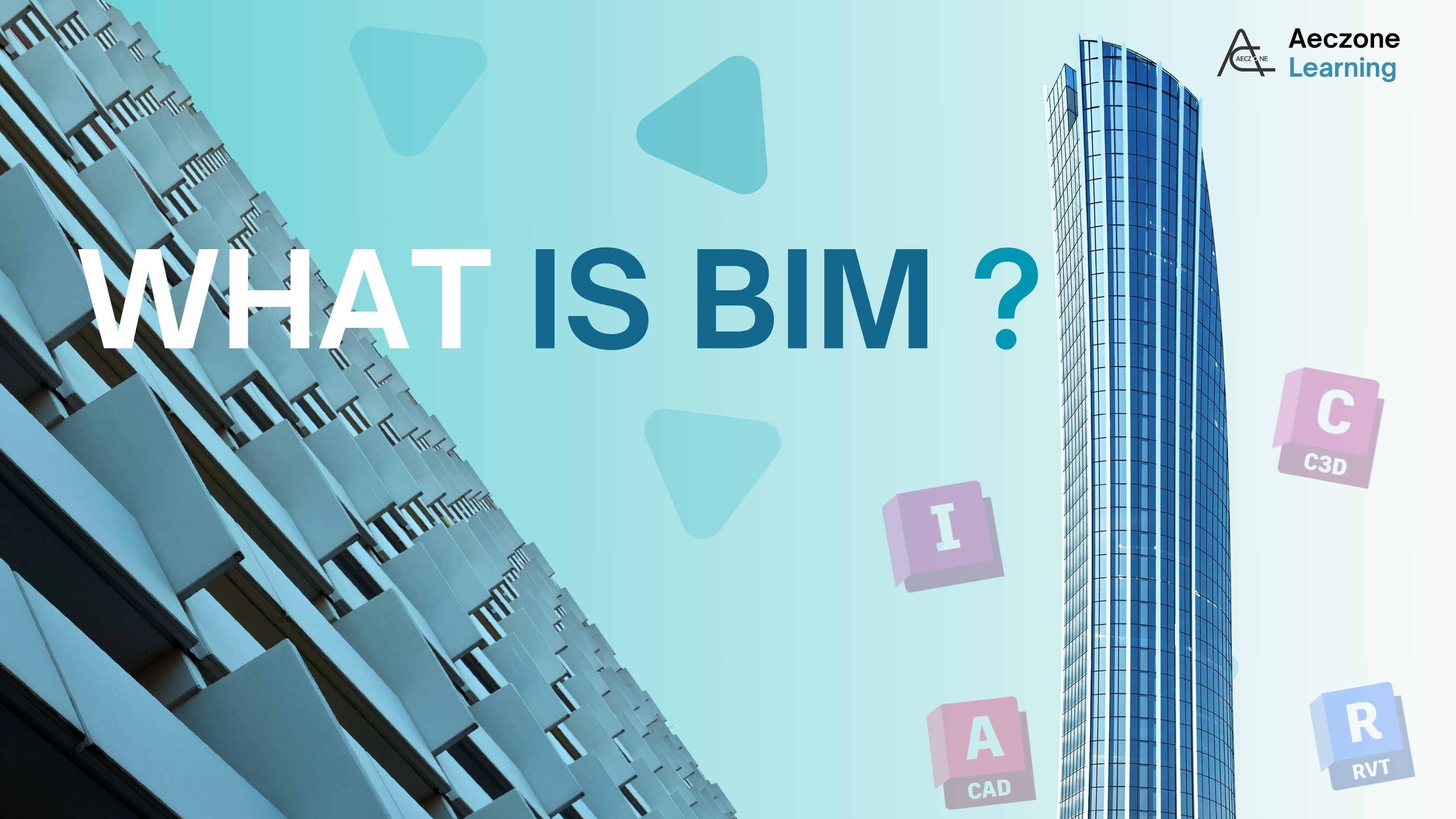 What is Bim?